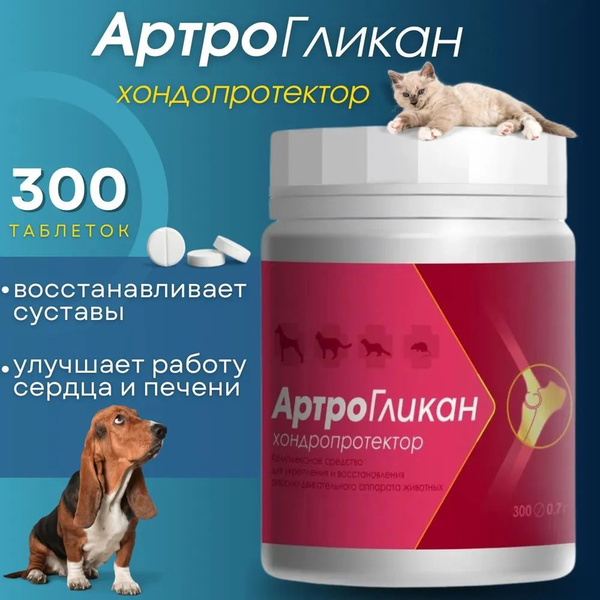 Артрогликан 300 таблеток - купить с доставкой по выгодным ценам в ...