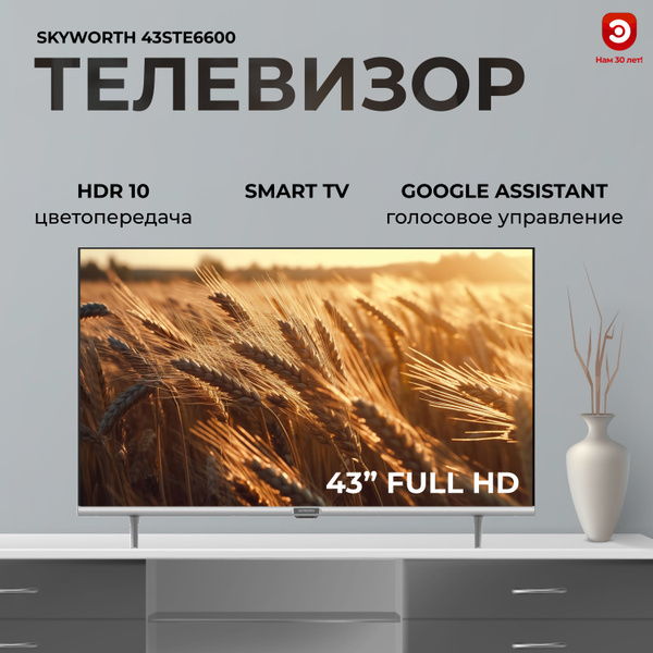Купить телевизор Skyworth 43STE6600 43" - купить с доставкой по ...