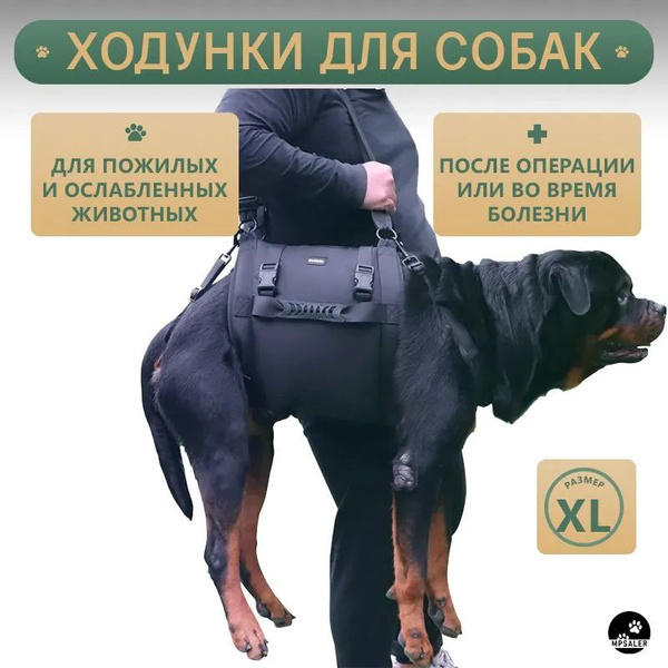 Ходунки, поддержка лап пожилых и травмированных собак. Поддерживающая ...