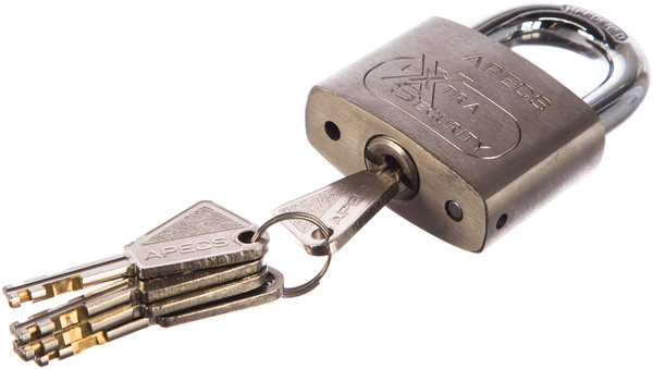 Замок навесной Apecs Premier PDS-XS-60 26839 - купить с доставкой по выгодным ценам в интернет ...