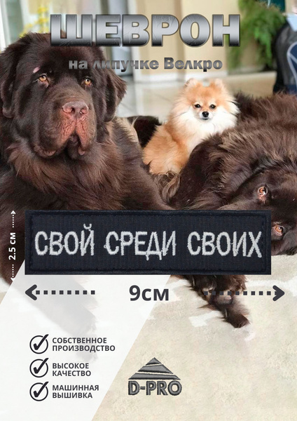 Шеврон патч заплатка на одежду на кепку 2,5*9 Свой среди своих - купить ...