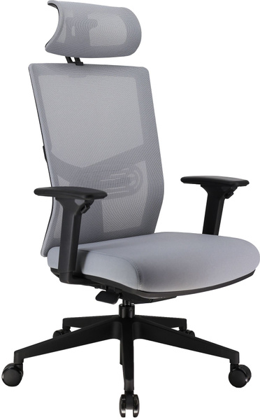 Кресло офисное эргономичное Everprof Fuji, сетка, серый купить на OZON по низкой цене (1684531568)
