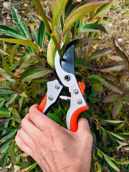 Секатор Gardeneer sadgardeneer_400010 - купить по выгодным ценам в ...