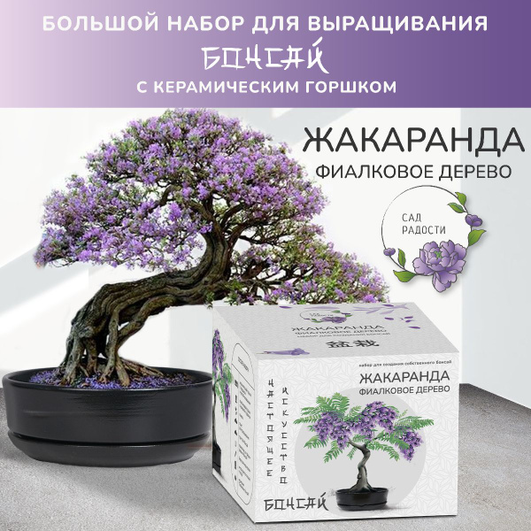 Бонсай Жакаранда набор для выращивания растений купить на OZON по ...