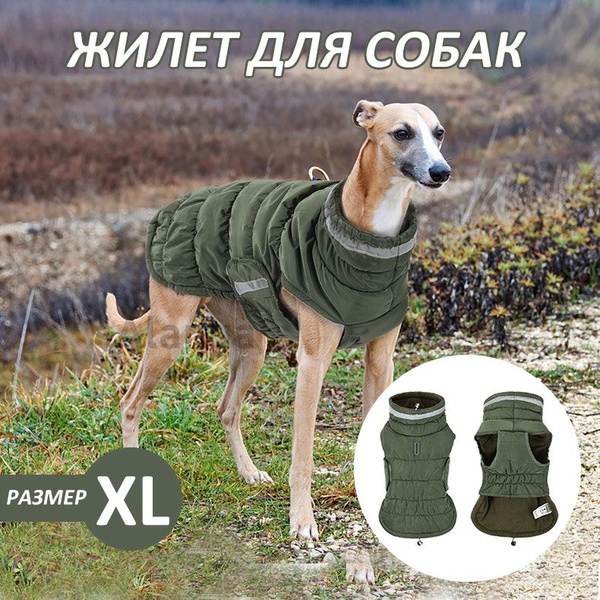 Одежда для собак крупных пород,жилет купить на OZON по низкой цене ...