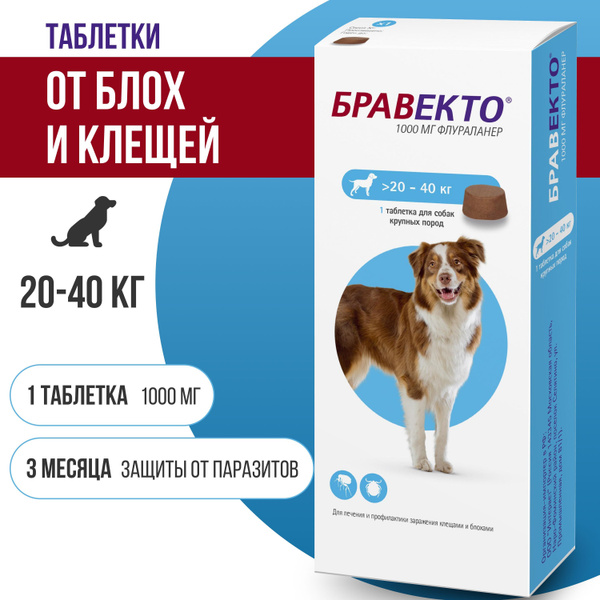 Бравекто 1000 мг от клещей и блох для собак 20-40 кг купить на OZON по ...