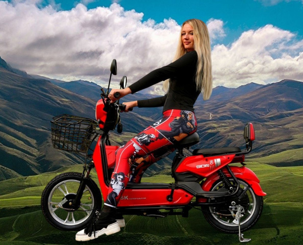 Электровелосипед SK 8 600 W 48V20A, Взрослый Подростковый, красный 7777 купить на OZON по низкой ...