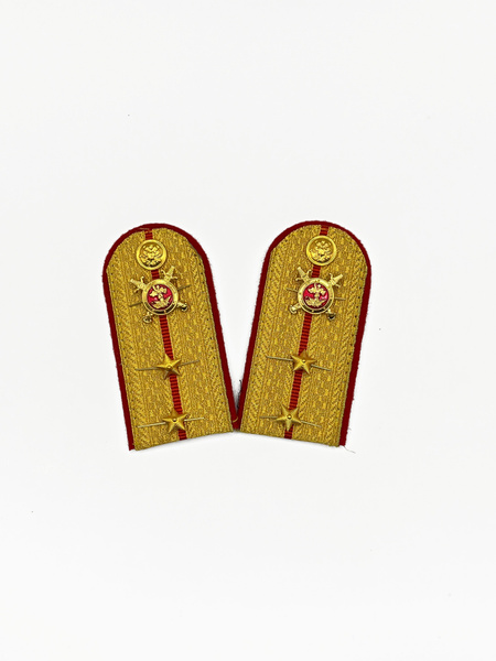 Погоны МВД РФ женские 10 см ( картонные, парадные ) лейтенант купить на ...