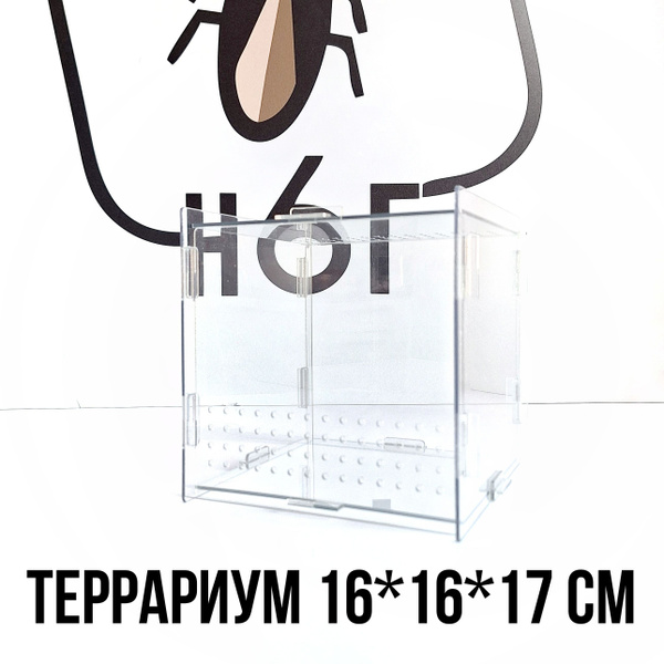 Террариум для насекомых купить на OZON по низкой цене (1777282107)