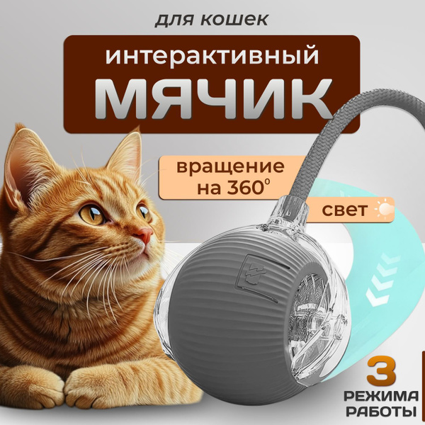 Игрушка для животных,Развивающие игрушки для котят купить на OZON по ...