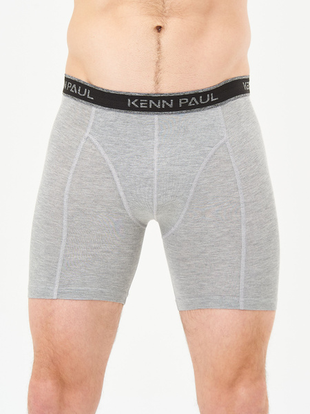 Трусы Мужской Dagi боксеры серый металлик, размер 52, 54 Средняя Турция Домашний купить c ...