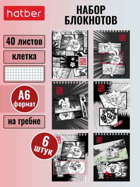 Набор блокнотов Hatber 40 листов, формата А6, в клетку, на гребне, 6 штук/6 дизайнов -Смешарики ...