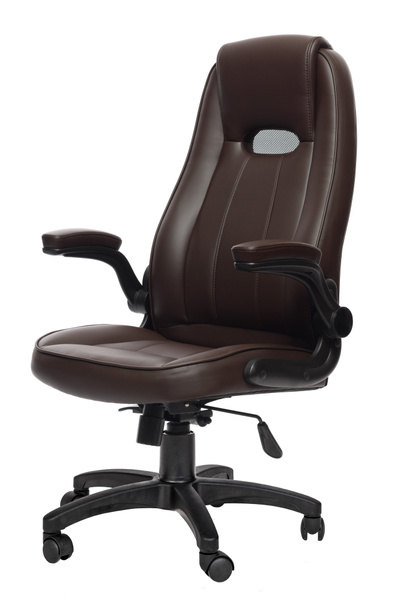 Кресло офисное ZEN Ergonomics, коричневый купить на OZON по низкой цене ...