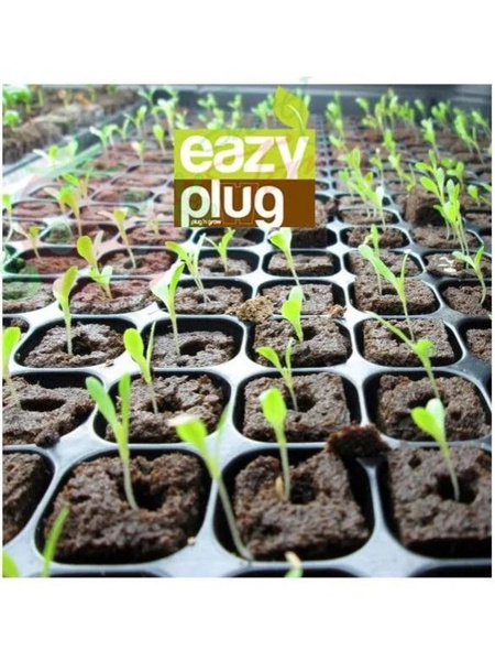 Лотки для рассады Eazy Plug 77шт купить c доставкой на OZON по низкой цене (1792667785)