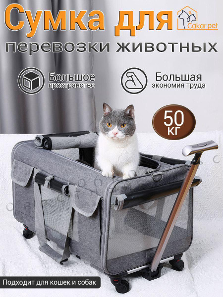 ПереноскаZ купить на OZON по низкой цене (2223377214)