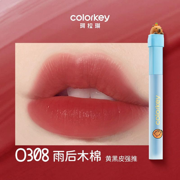 Жидкая помада Colorkey O308 купить на OZON по низкой цене (2561282126)