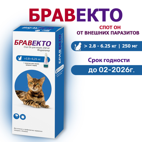 Бравекто Спот Он капли для кошек 2,8 - 6,25 кг, от внешних паразитов ...