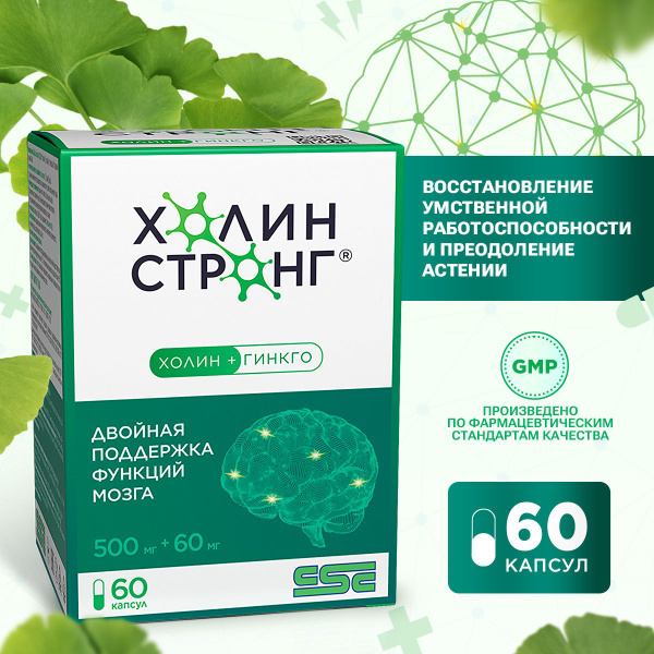 Холин Стронг, Гингко билоба 60 мг Холин 500 мг Биоперин ,улучшает ...