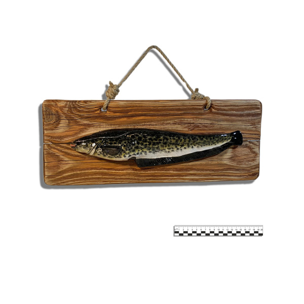 Украшение подвесное интерьерное Настенная статуэтка сома исп 4 купить по доступным ценам в