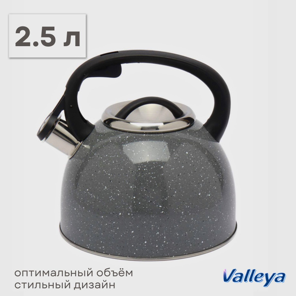 Чайник со свистком для плиты "Valleya", 2.5 литра, для всех видов плит ...