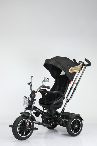 Велосипед трехколесный skill max 5199GP gold black - купить с доставкой ...