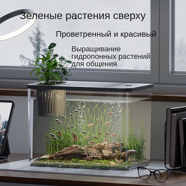 Мини-маленький домашний аквариум - купить с доставкой по выгодным ценам ...