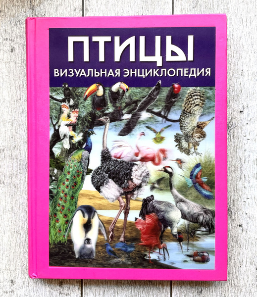 Птицы. Визуальная энциклопедия. | Элдертон Дэвид - купить с доставкой ...