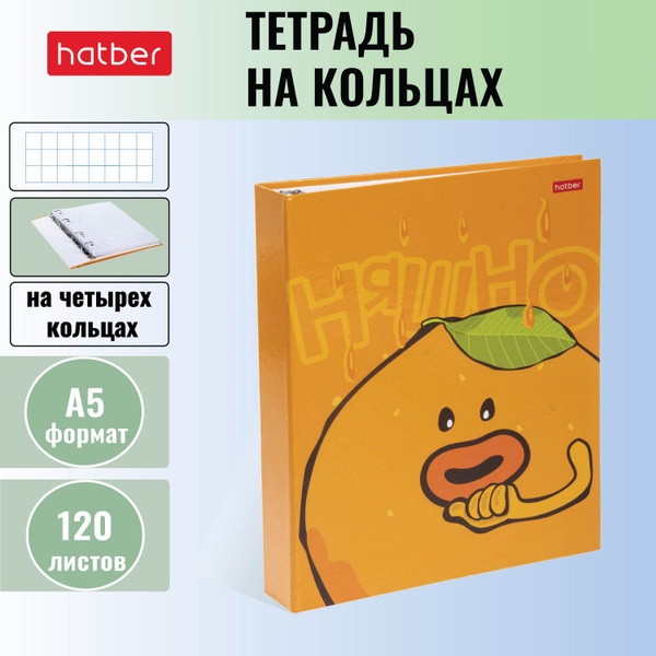Тетрадь со сменным блоком Hatber 120 листов, формата А5, в клетку, на четырех кольцах, глянцевая ...