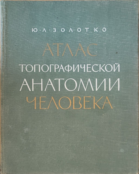 Атлас топографической анатомии человека. Часть II. Грудь, живот, таз ...