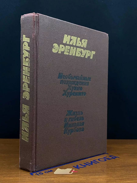 Необычайные похождения Хулио Хуренито - купить с доставкой по выгодным ...