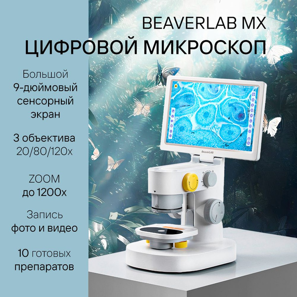 Микроскоп цифровой Skymart BeaverLab MX купить на OZON по низкой цене (1783884873)