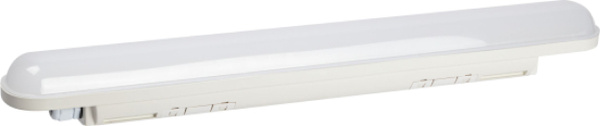 Светильник настенно-потолочный ЭРА SPP-201-W-65K-018 линейный ...