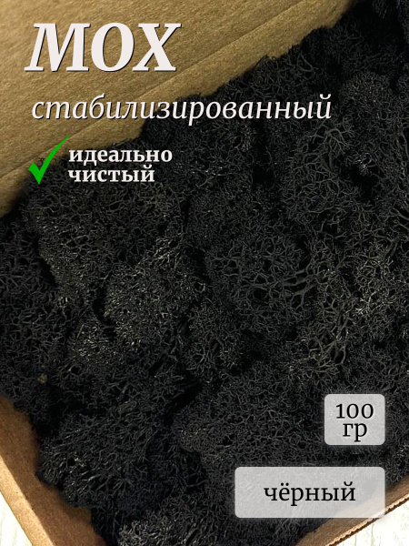 Мох стабилизированный ягель цветной 100 гр черный купить на OZON по ...
