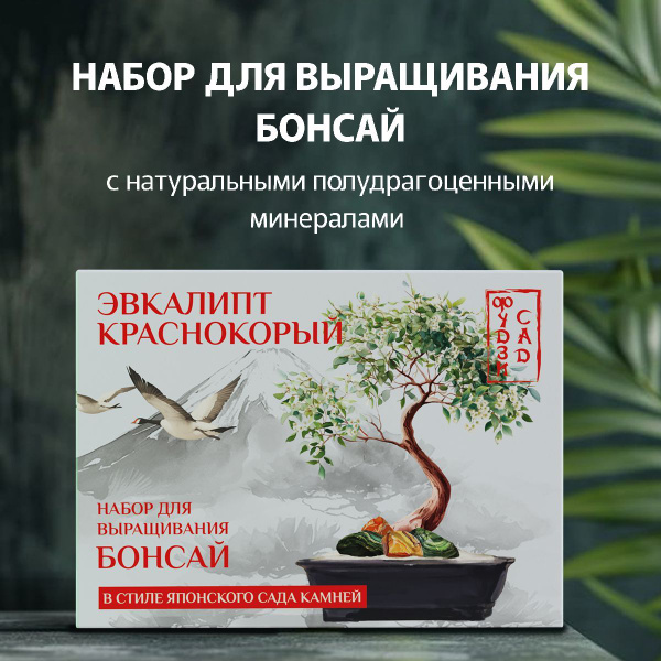 Бонсай набор для выращивания растений Эвкалипт краснокорый купить на ...