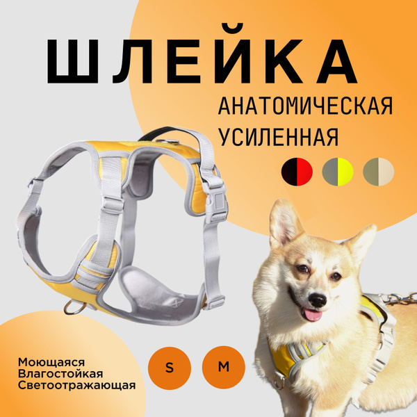Шлейка для собак мелких и средних пород анатомическая, светоотражающая ...