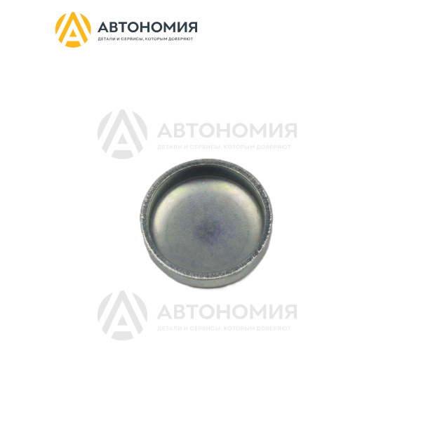 Заглушка головки блока (25мм) Ford 1455107 купить на OZON по низкой ...