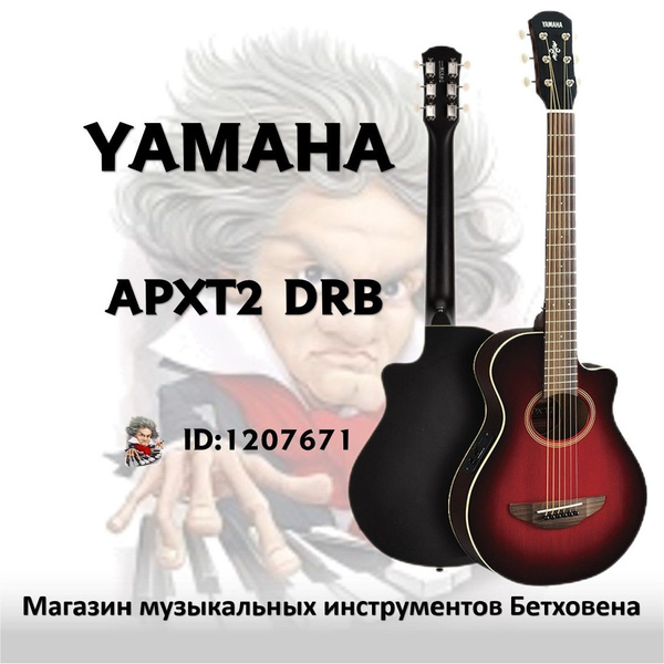 Yamaha Акустическая гитара APXT2EW/APXT2 6-струнная, корпус Палисандр ...