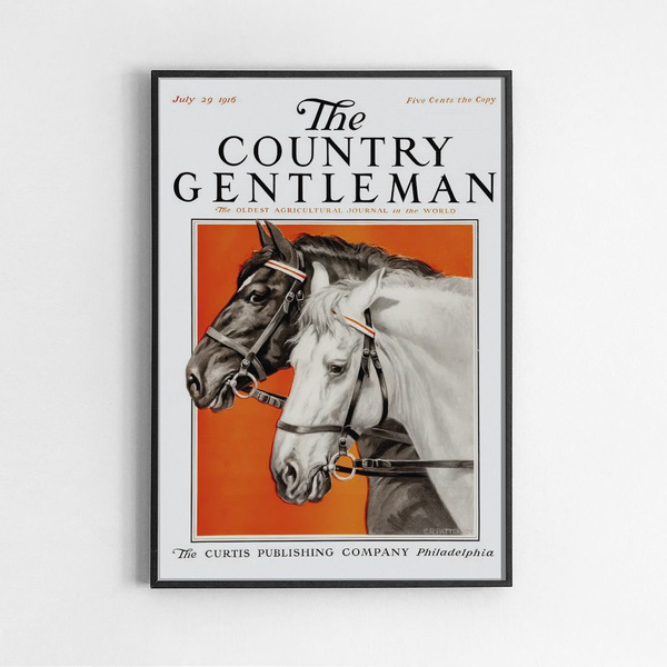 Постер Арт, Интерьер The Country Gentleman, 42 29 купить c доставкой на ...