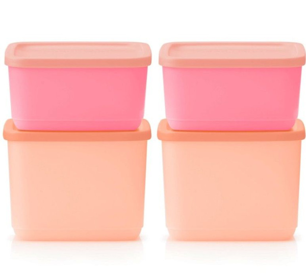 Tupperware Контейнер пищевой, 650 мл, 1000 мл, 4 шт купить на OZON по низкой цене (1985244507)