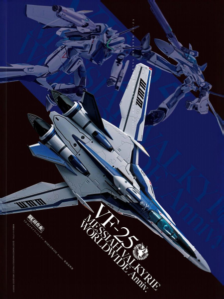 трансформеры/фигурка Macross VF-25 MESSIAH VALKYRIE WORLDWIDE Anniv. BANDAI DX Chogokin Оригинал ...