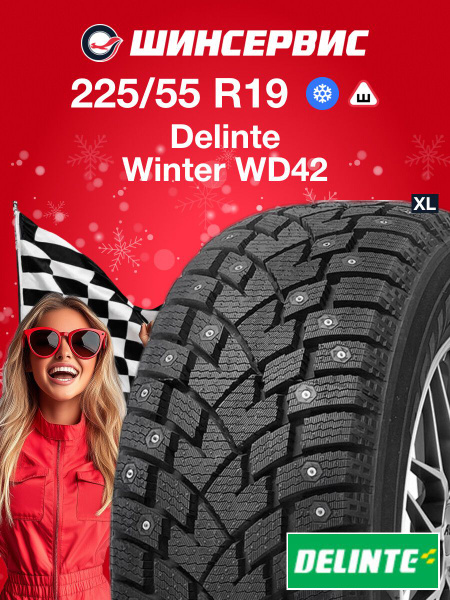 Delinte Winter WD42 Шины зимние 225/55 R19 103T Шипованные ...
