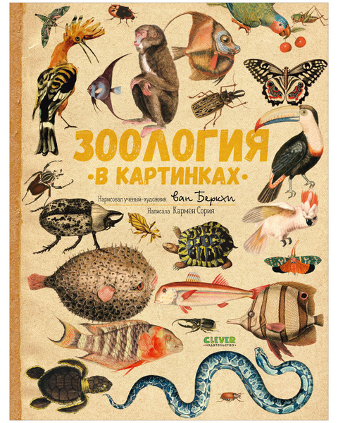 Зоология в картинках. Энциклопедия для детей купить на OZON по низкой ...