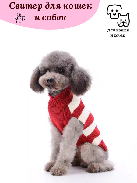 Свитер для кошек и собак мелких и средних пород. - купить с доставкой ...