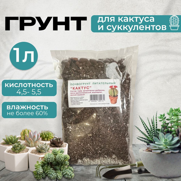 Грунт для кактусов и суккулентов универсальный субстрат для комнатных ...