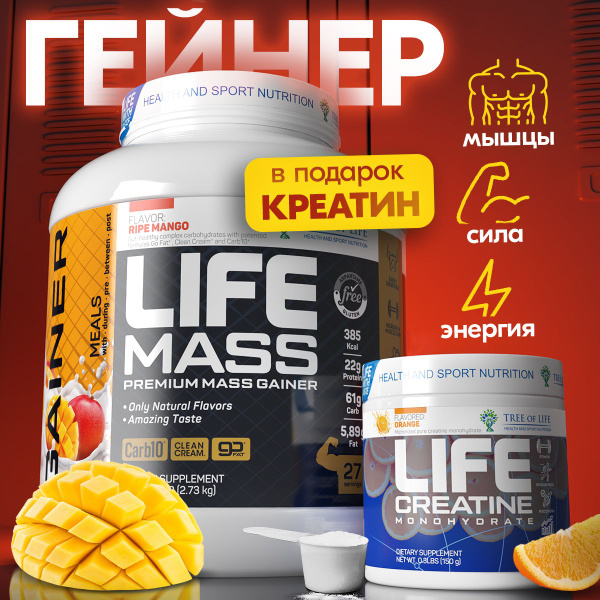 Комплекс Гейнер Tree of life Mass GAINER 6LB вкус Манго + Креатин ...