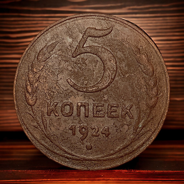 Монета СССР 5 копеек 1924 года - купить в интернет-магазине OZON с быстрой доставкой (1456941970)