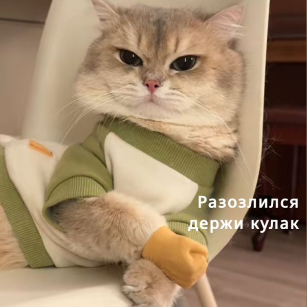 Игрушка для кошек "Щекоталки" - купить с доставкой по выгодным ценам в ...