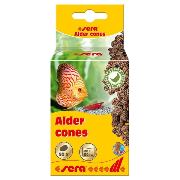 Ольховые шишки Аlder cones 50 шт - купить с доставкой по выгодным ценам ...