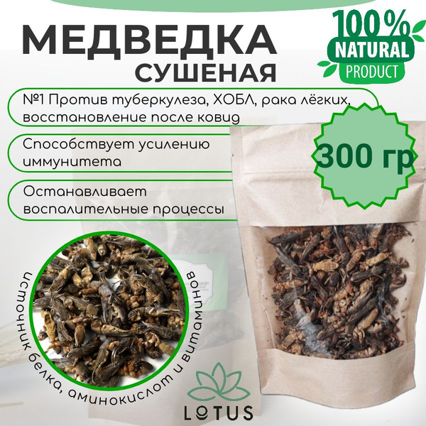 Медведка сушеная Азиатская 300г (100%natural) - купить с доставкой по ...