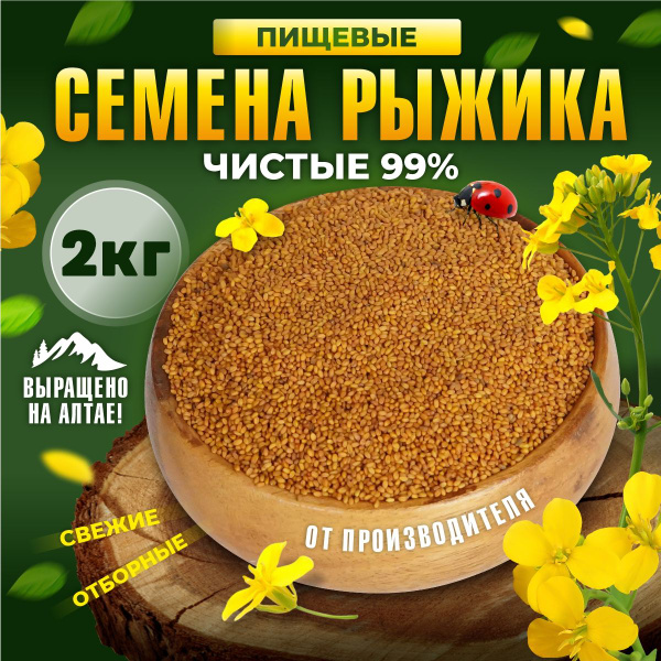Семена рыжик. Рыжея с Алтая. Семена рыжика для микрозелени и ...